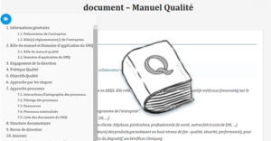 Modèle gratuit de Manuel Qualité